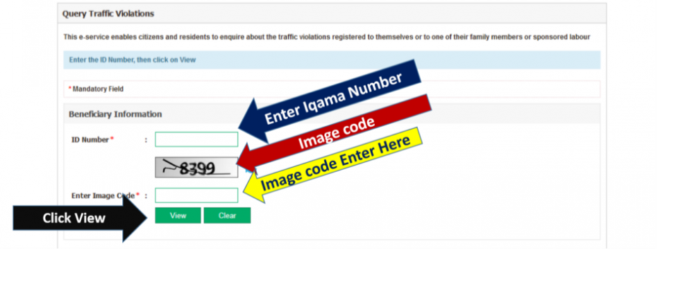 Check Traffic Violation Details Online With Query Traffic Violations ...