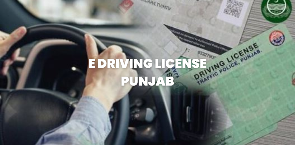 How to Download e Driving License Punjab in 2023.